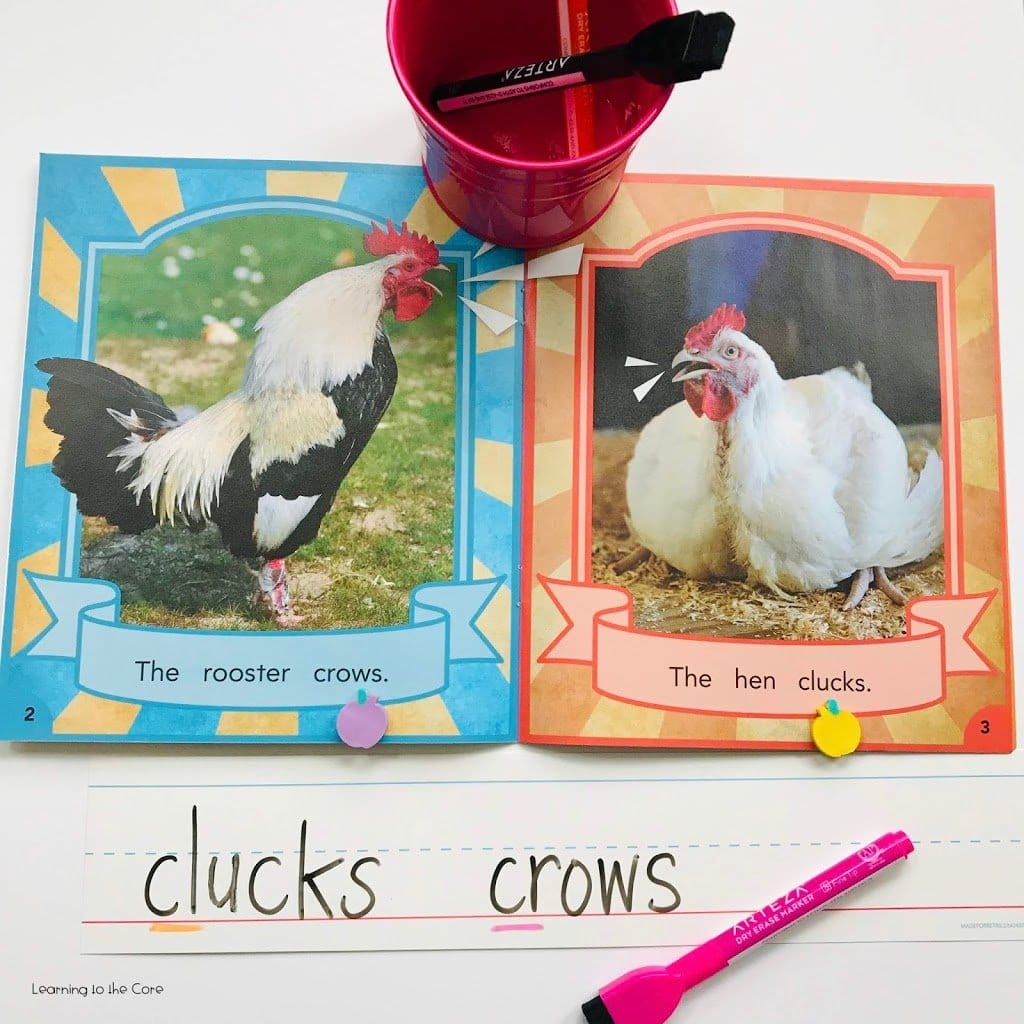 5 Phonics Word Work Ideas - Literacy with Aylin Claahsen