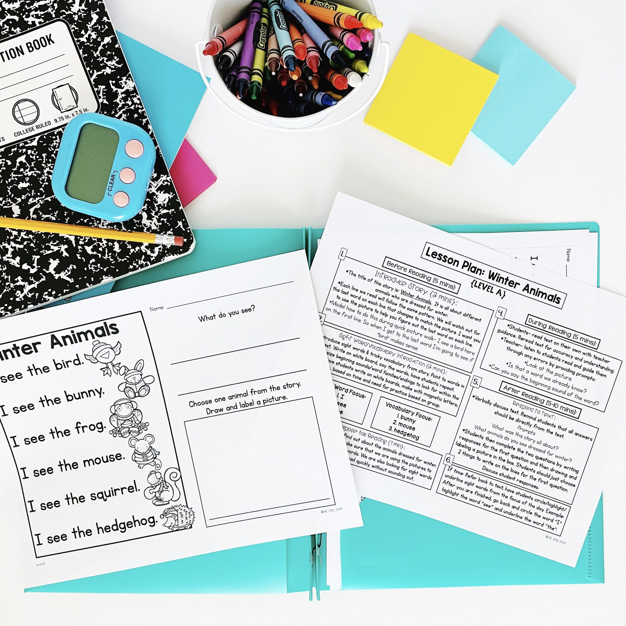 Guided Reading Data Collection - Literacy with Aylin Claahsen